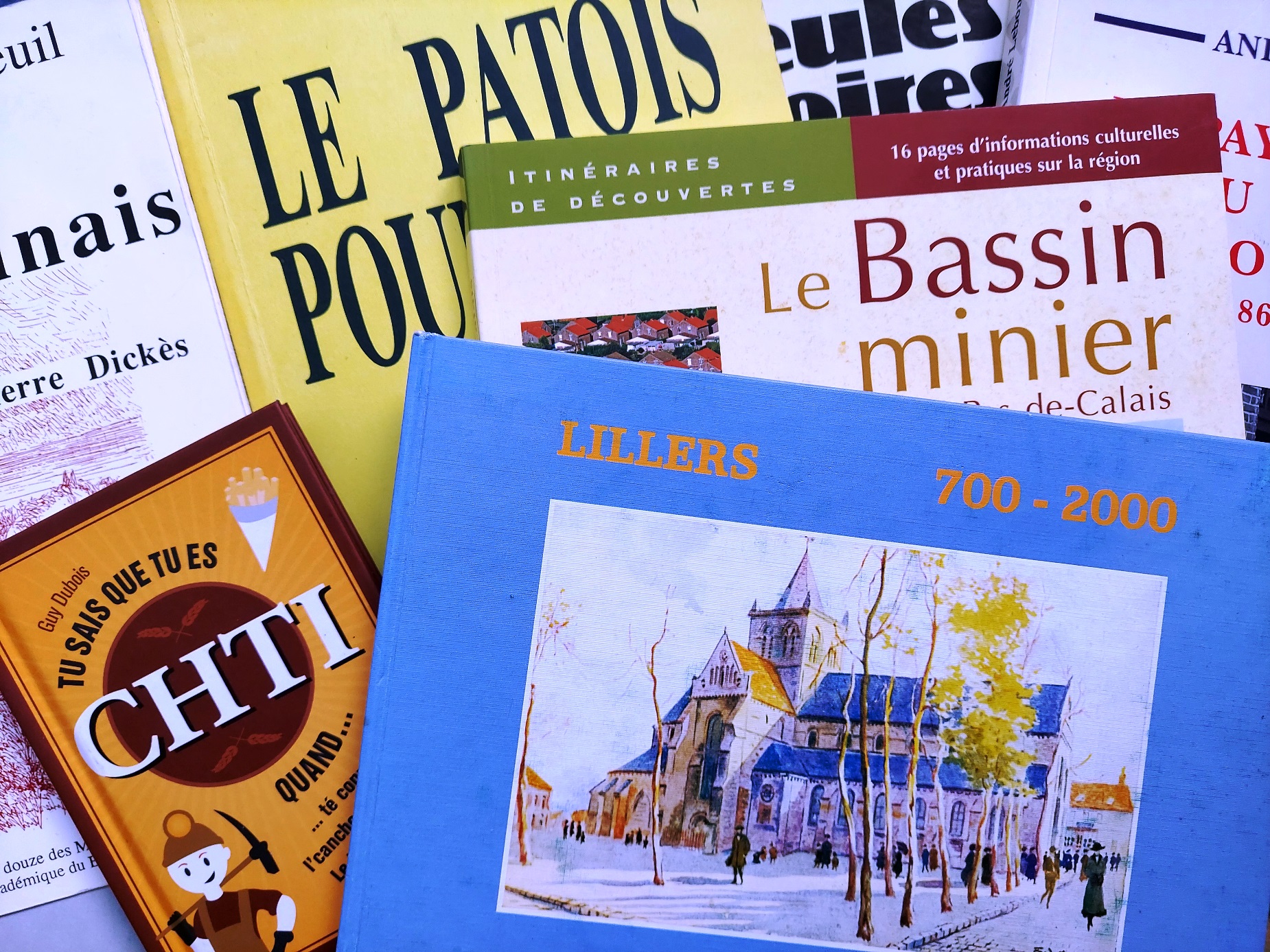 113 J : Collection Guy-Dubois - Archives d’érudits et d’historiens - Archives privées - Fonds et ...